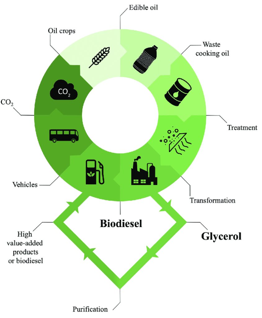 QS venolia Biodiesel